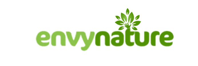 Cardboard Box as A Rabbit Nesting Box? Avoid it | Envynature