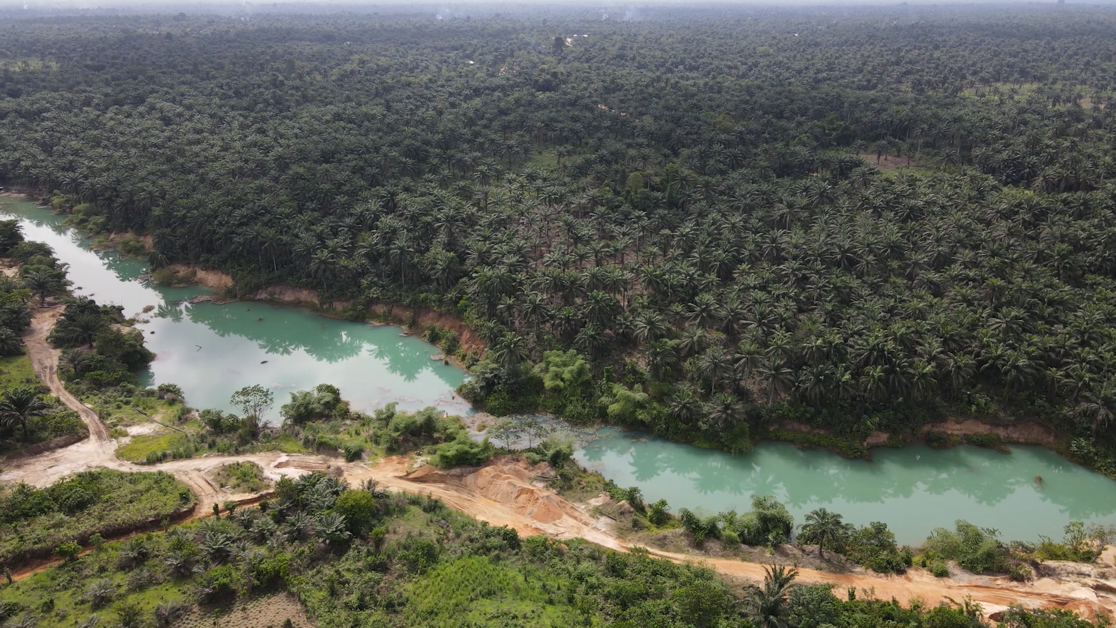 Green Pond (River): A Wonder in Ikot Akpa Oso, Ibesikpo, Akwa Ibom ...