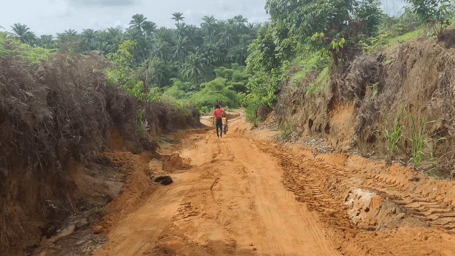 Green Pond (River): A Wonder in Ikot Akpa Oso, Ibesikpo, Akwa Ibom ...