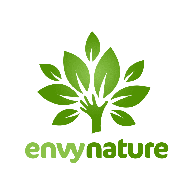 Chaya (Origin, Health Benefits And How To Grow) | Envynature