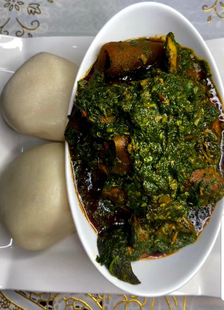 Afang (All you need to Know) | Envynature