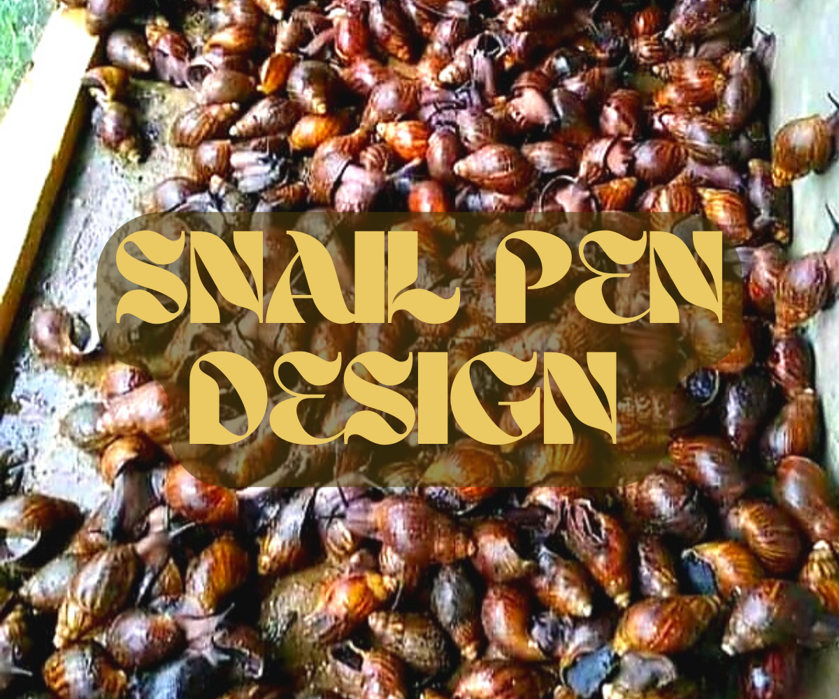 How to Design a Snail Pen | Envynature