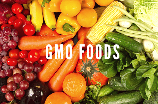 The Problem with GMOs (How to Identify) | Envynature