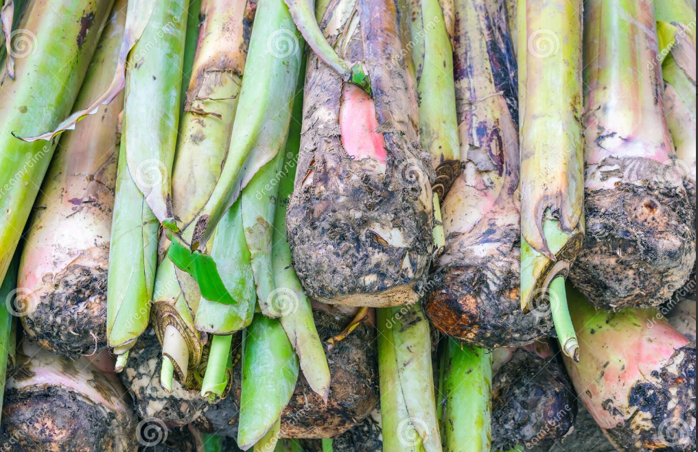 Banana (Origin, Nutrients. Medical Properties and How to Grow) | Envynature