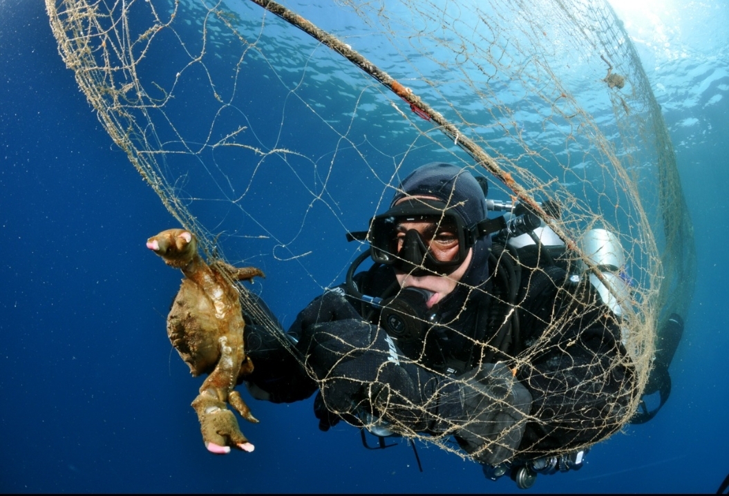 Ghost Fishing (Gears, Causes and Impacts) | Envynature