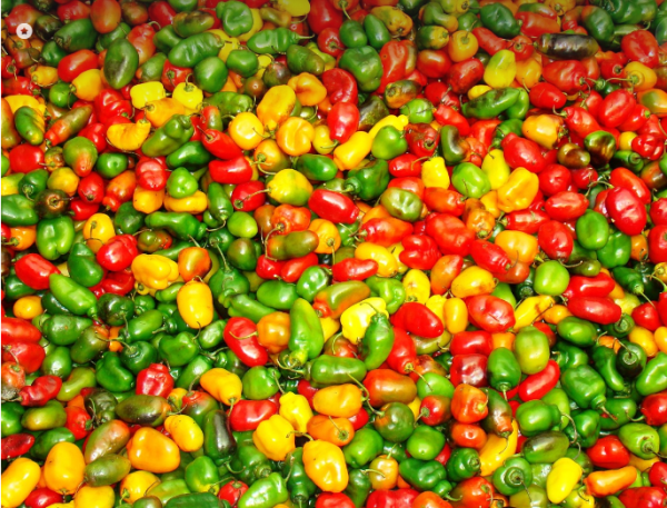 Pepper ( Nutrients and Health Benefits) | Envynature