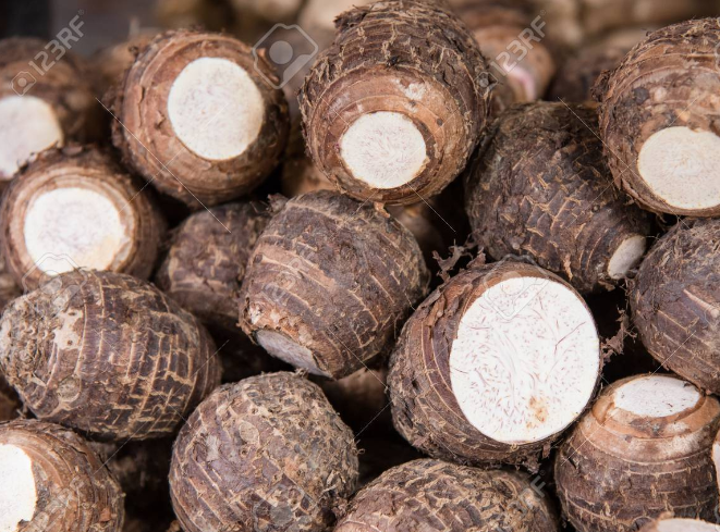 Cocoyam (Origin, Health Benefits And How To Grow) | Envynature