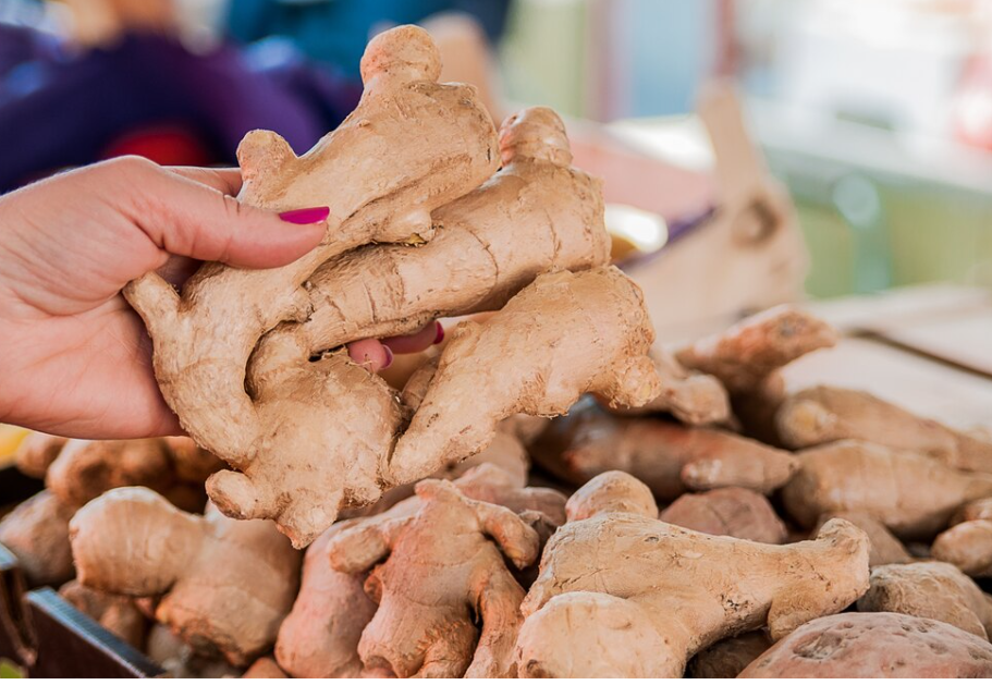 Ginger (Origin, Health Benefits And How To Grow) | Envynature
