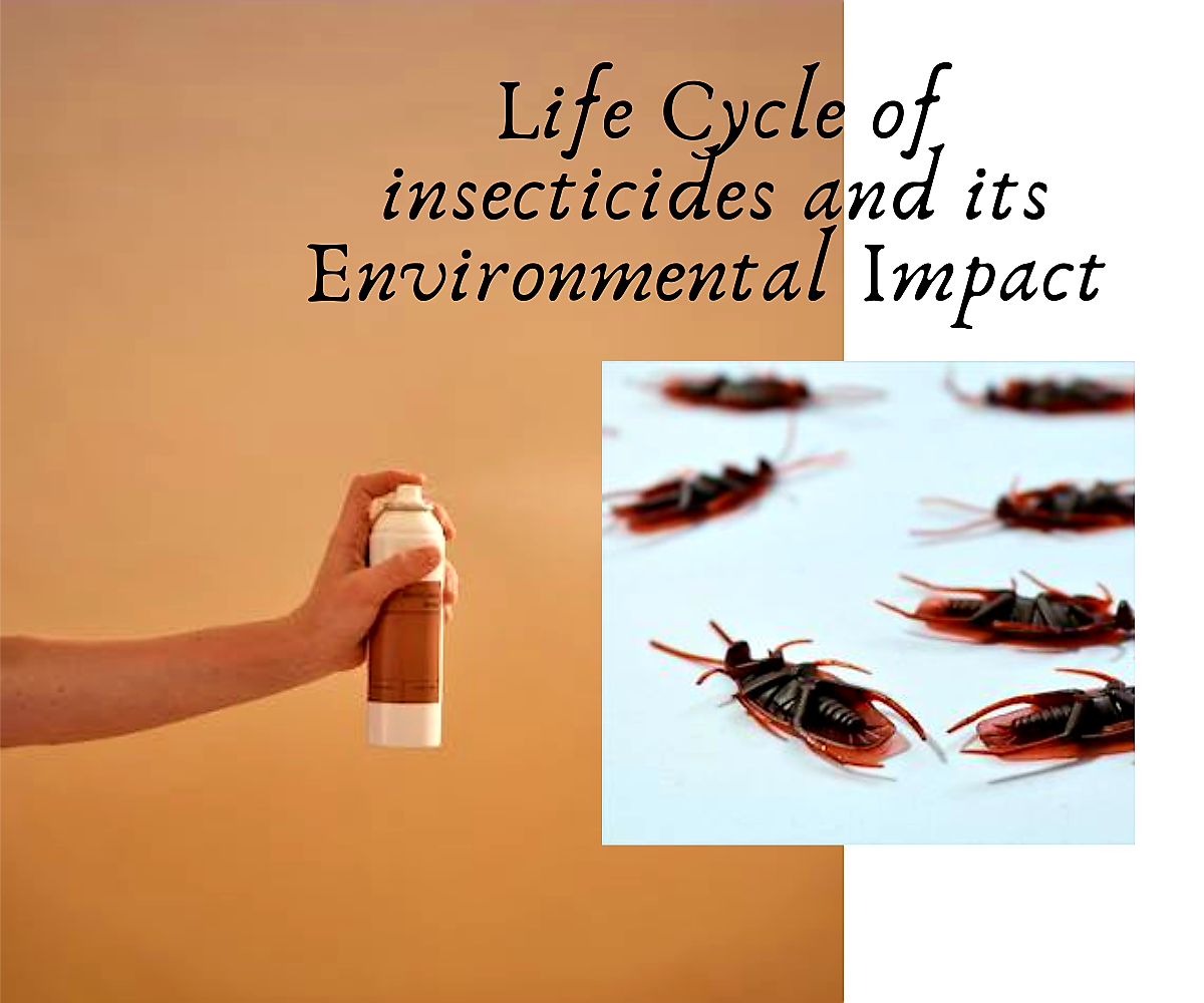 Life Cycle of Insecticides and its Environmental Impact | Envynature