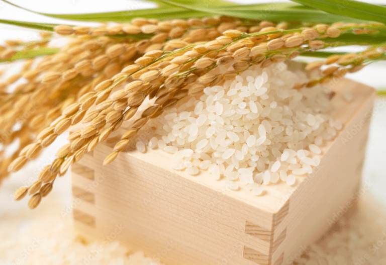 Rice (Origin, Health Benefits And How To Grow) | Envynature