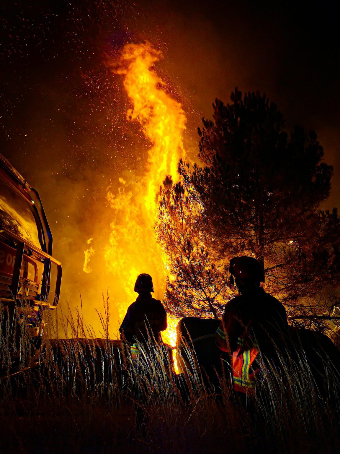 How Deforestation and Bush Burning Contribute to an Increase in the ...