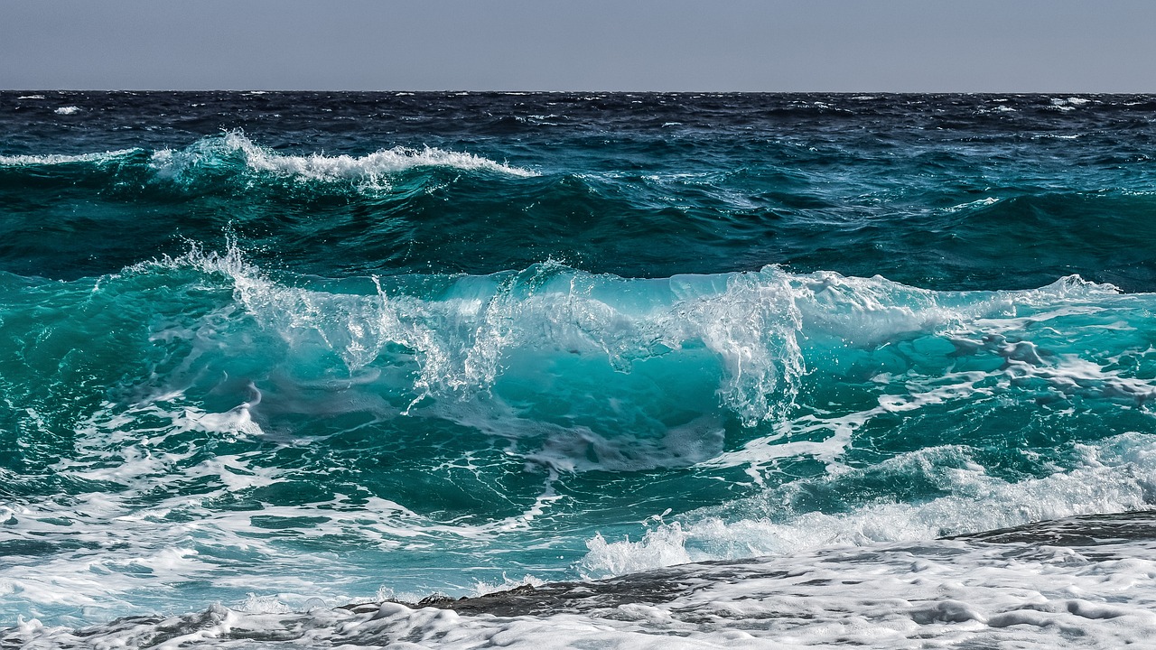 Ocean Acidification: What It Is, Causes, Effects, and Solutions ...