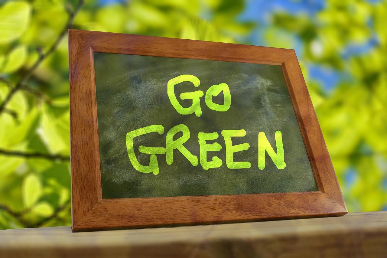 17 Most Effective Ways to Go Green in 2025 | Envynature