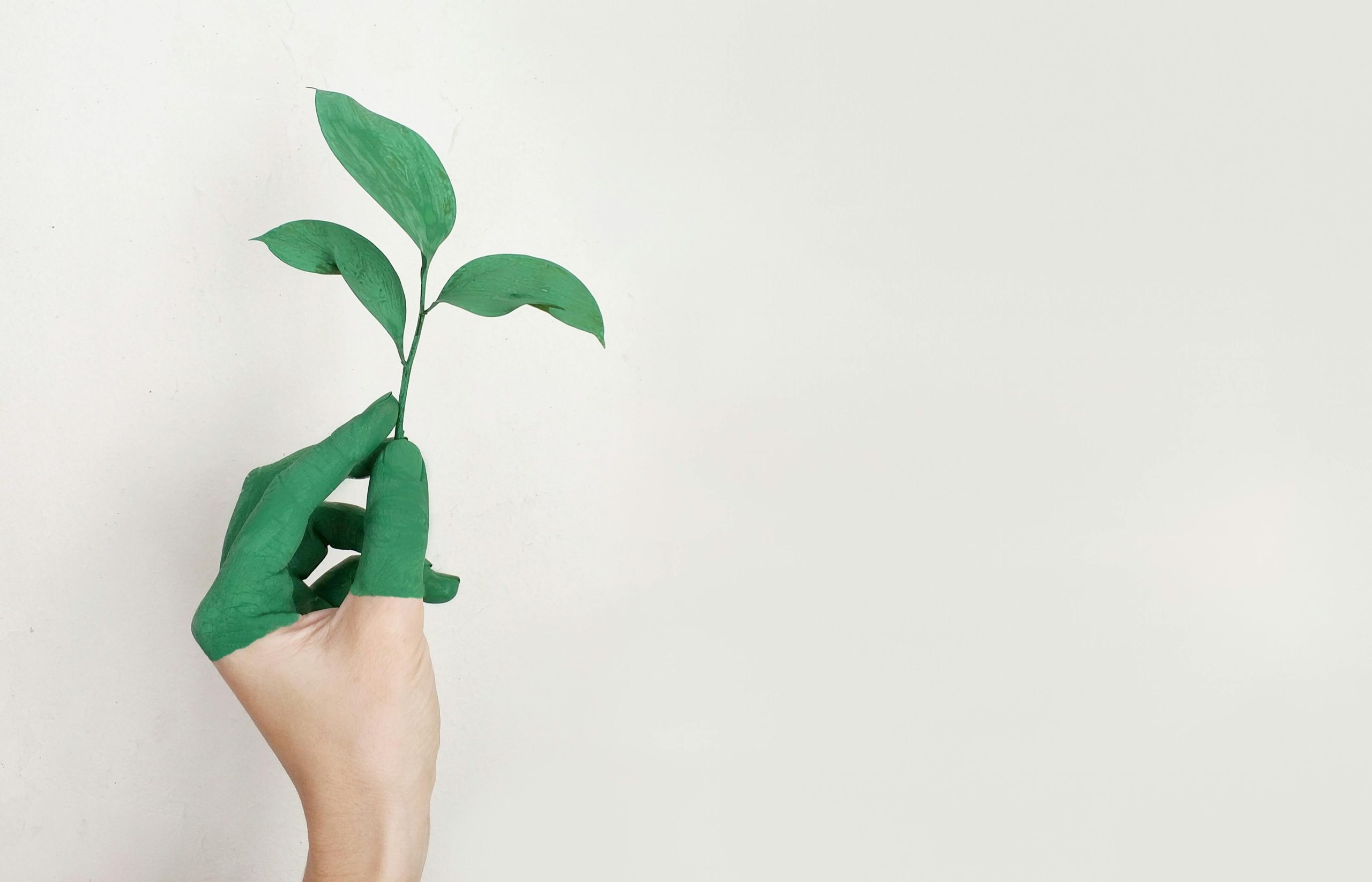 Why Green Living is Important in Today’s World | Envynature