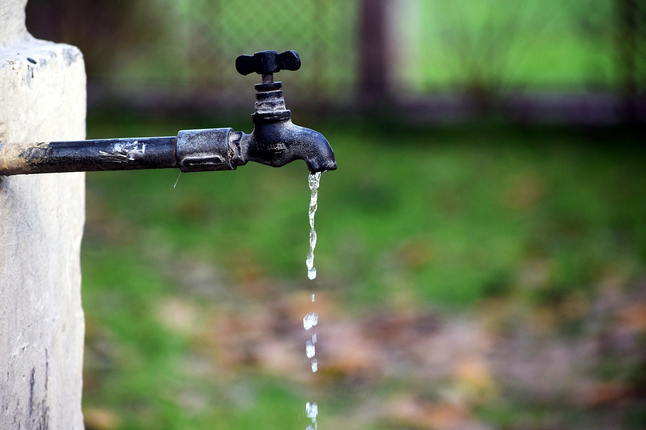 Simple, Effective, and Practical Ways to Save Water Every Day | Envynature