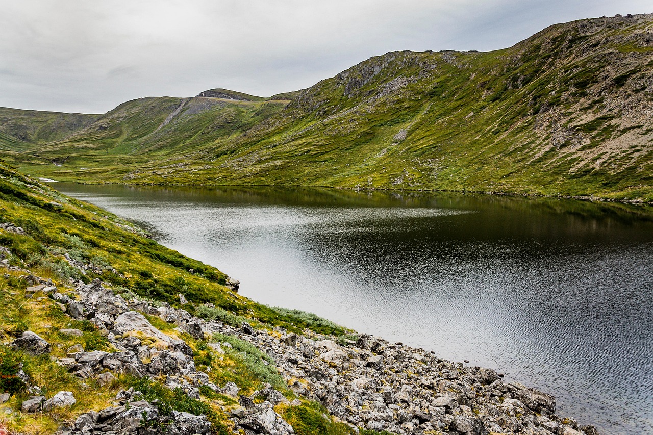 International Day of Action for Rivers: Why It Matters and How You Can ...