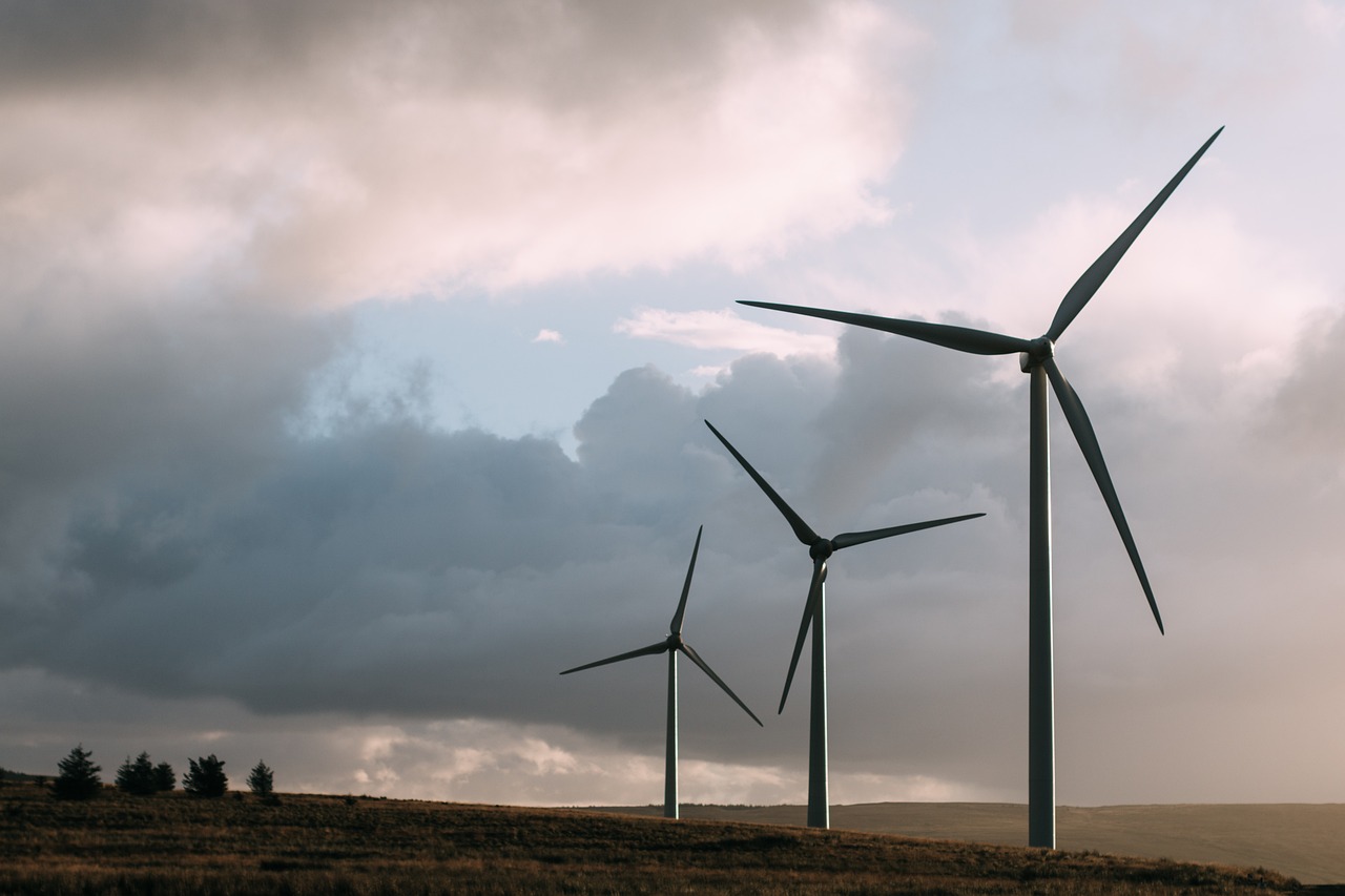 How to Build a DIY Wind Turbine: A Complete Step-by-Step Guide | Envynature