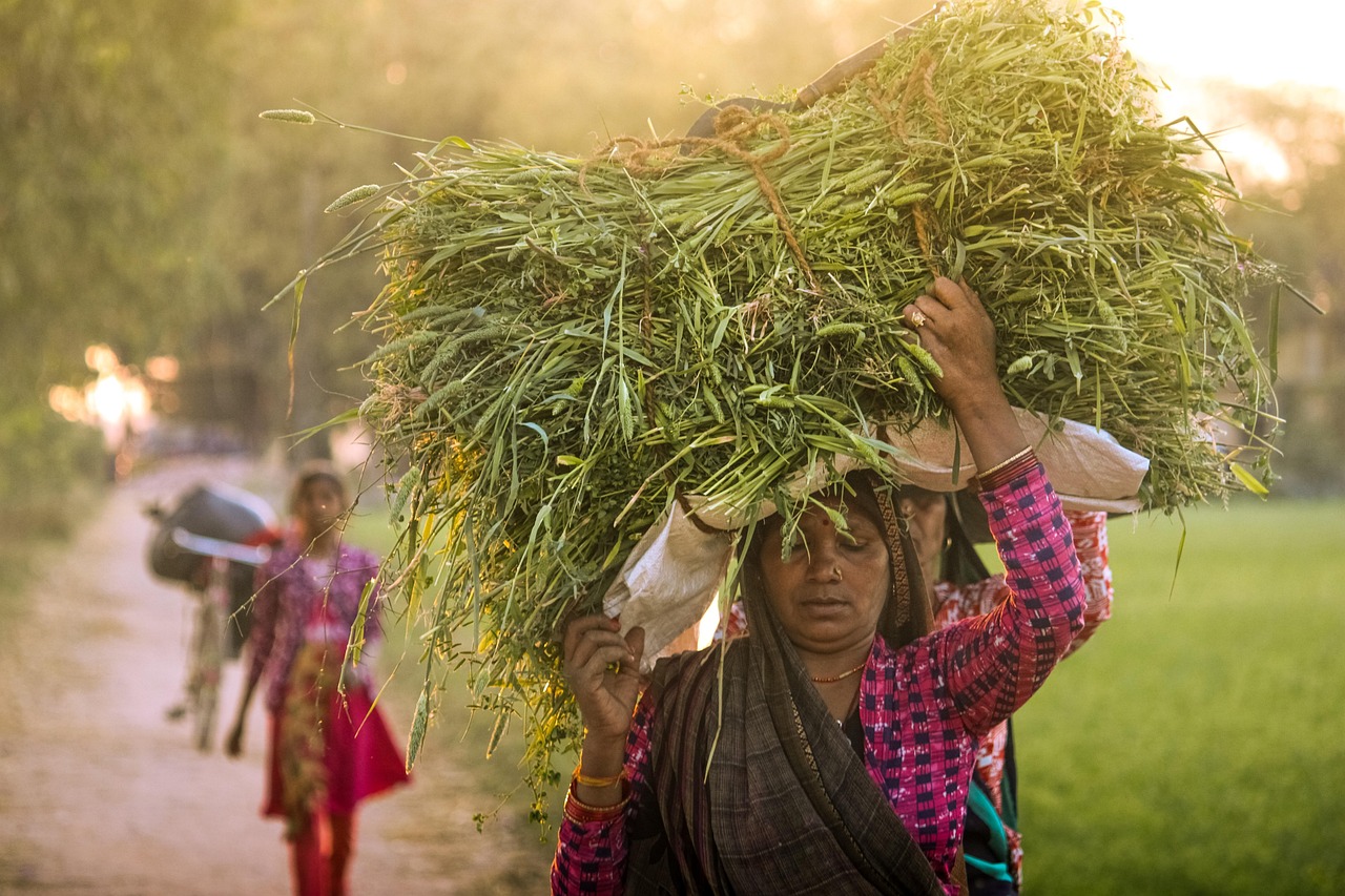 10 Proven Ancient African Farming Techniques We Need Again | Envynature