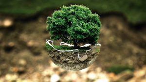 What is Deep Ecology? A Complete Guide | Envynature