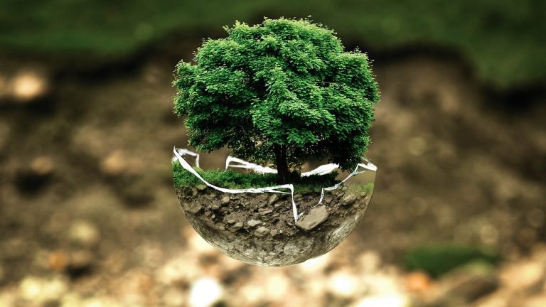 What is Deep Ecology? A Complete Guide | Envynature