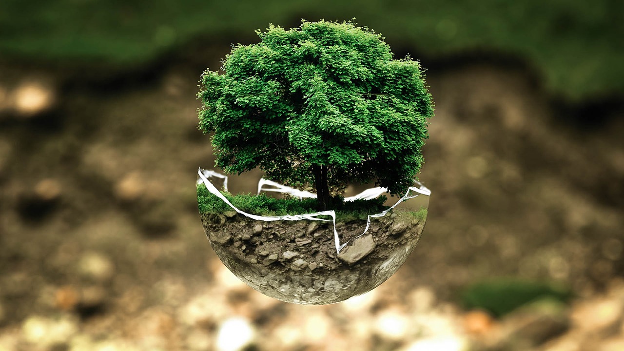 What is Deep Ecology? A Complete Guide | Envynature